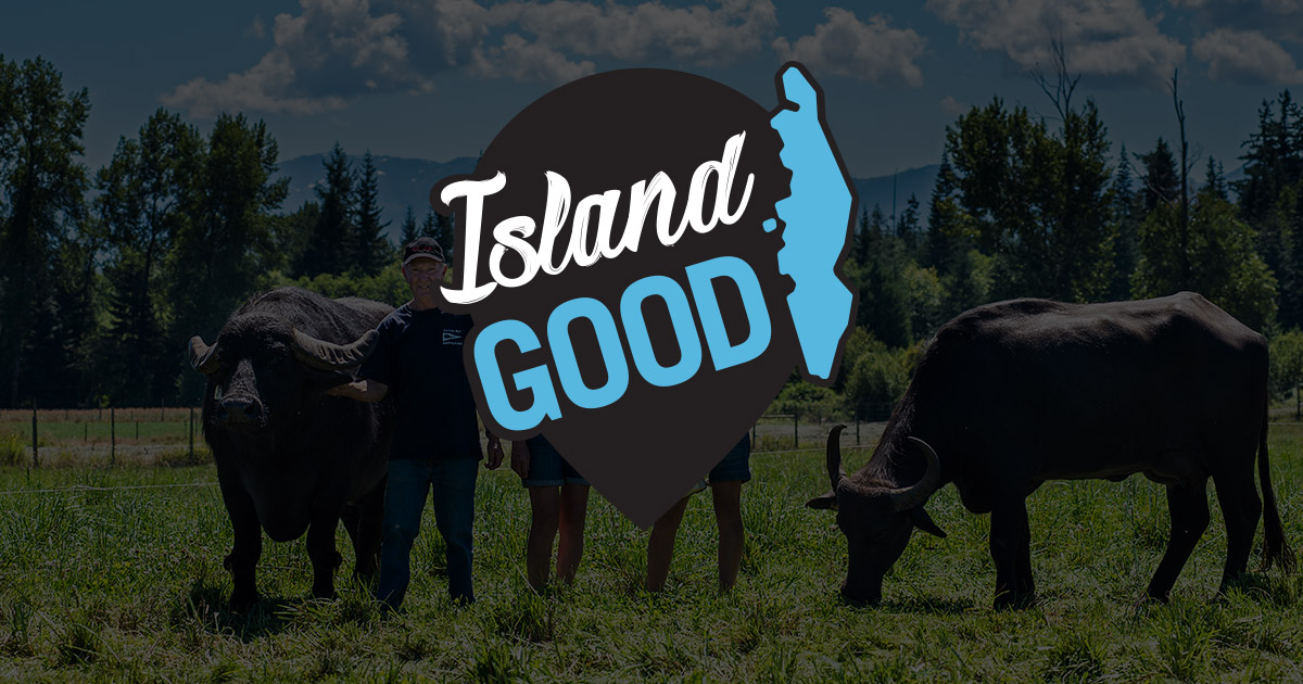 The City of Langford and Vancouver Island Economic Alliance Partner for ...