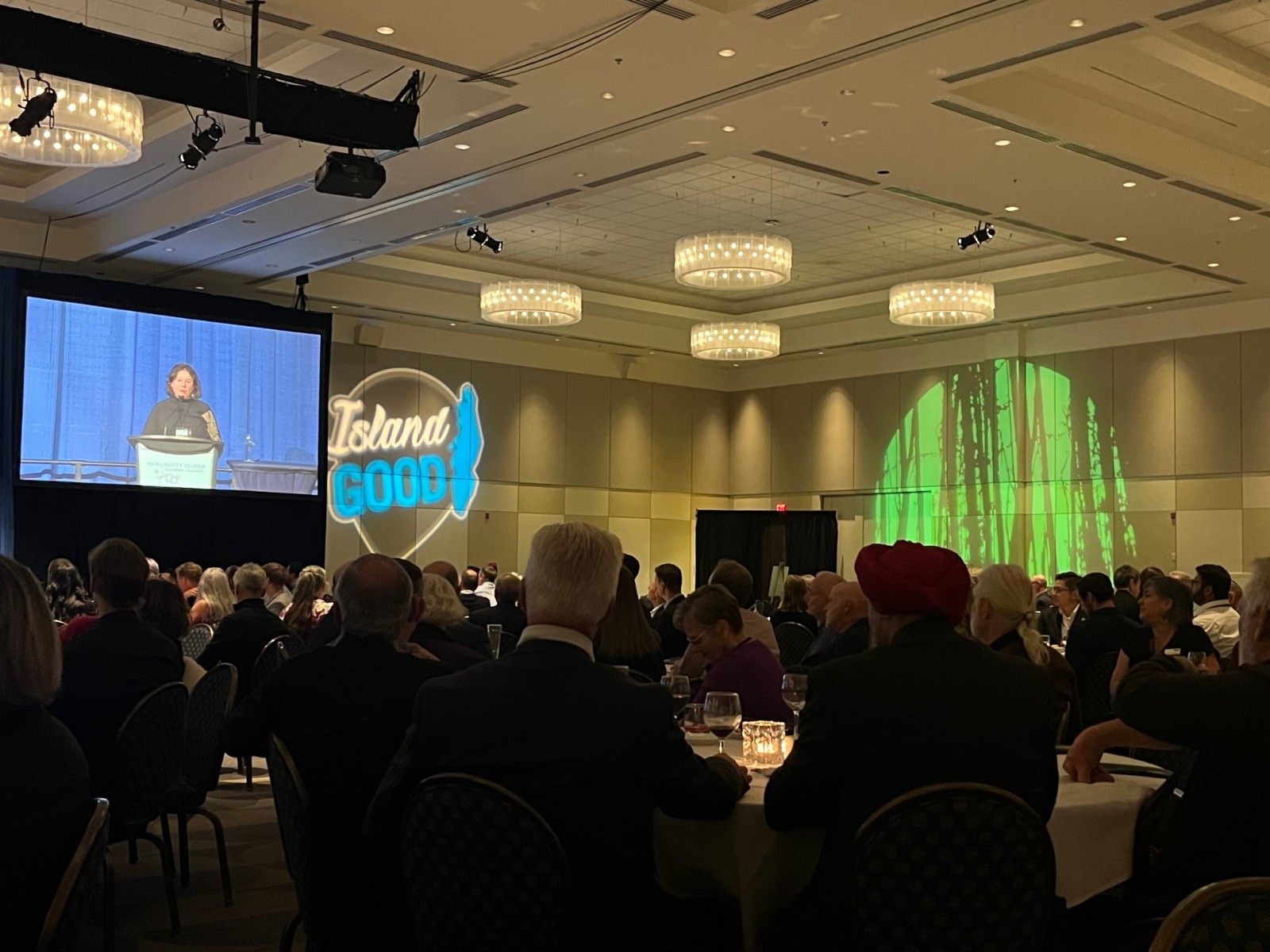 Highlights of Celebrating 5-years of Island Good at the 'State of the ...